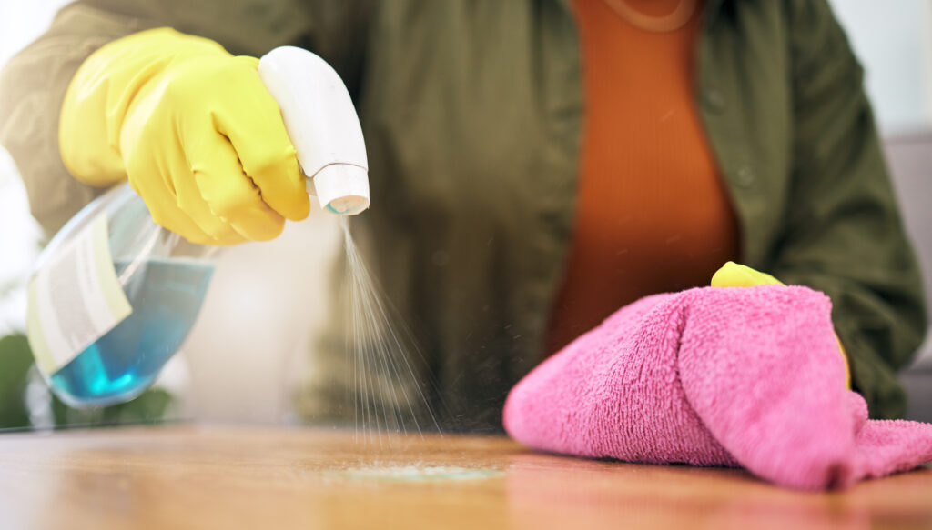 Find Cleaning Services - SeekaServ